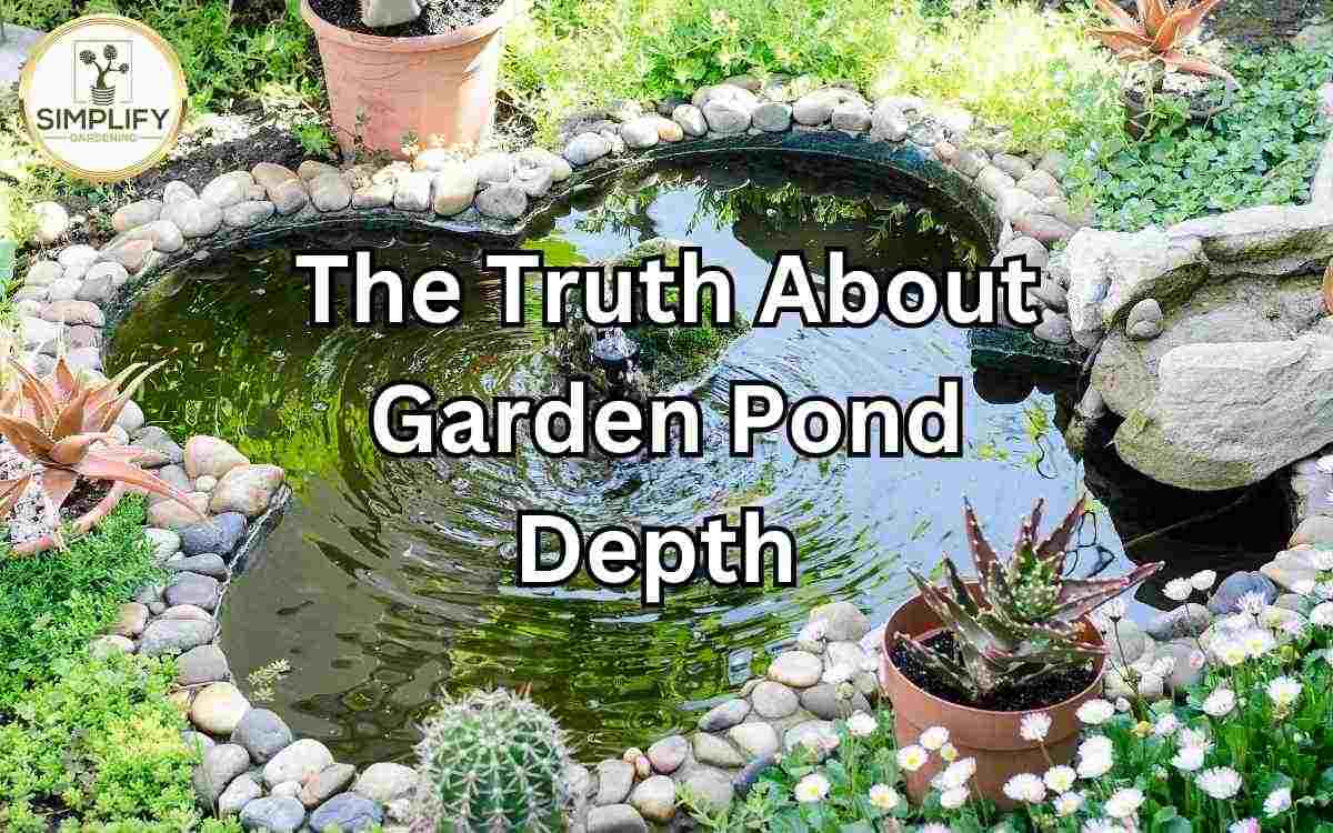The Truth About Garden Pond Depth - What You Need To Know - Simplify ...