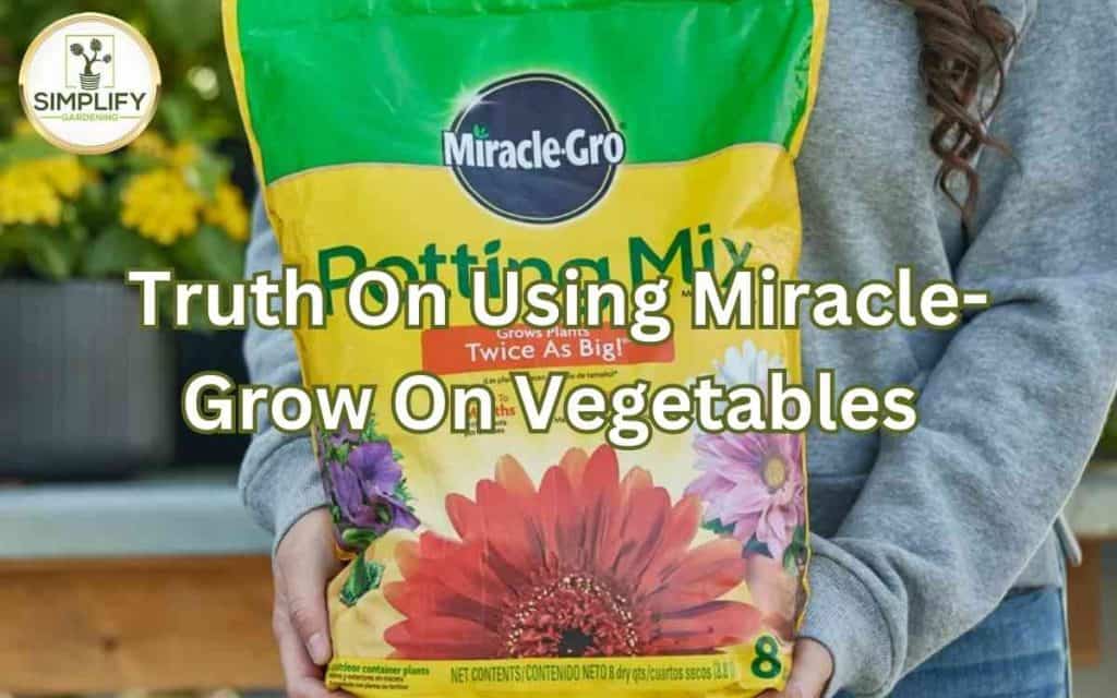 Truth On Using Miracle-Grow On Vegetables What You Must Know - Simplify ...