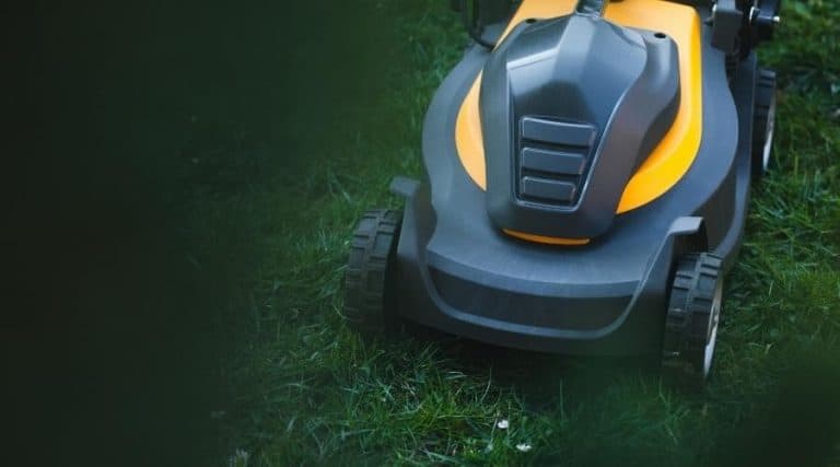 The Ultimate Guide to Choosing the Best Electric Lawn Mower - Simplify ...