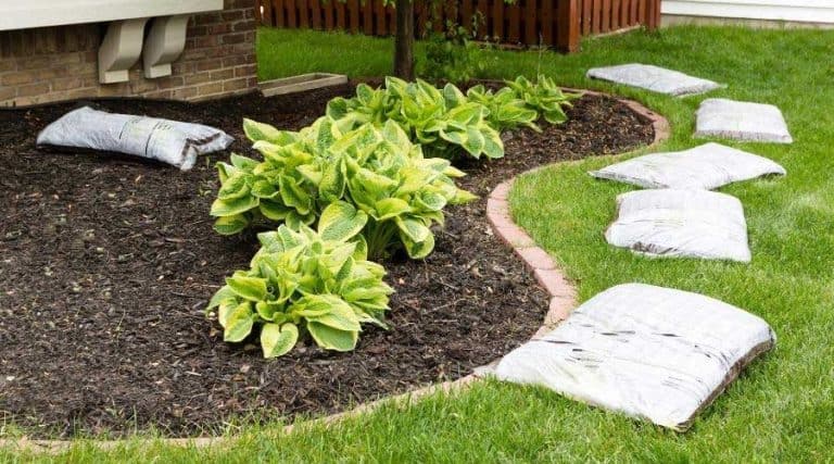 Best Organic And Inorganic Ground Covers - Simplify Gardening