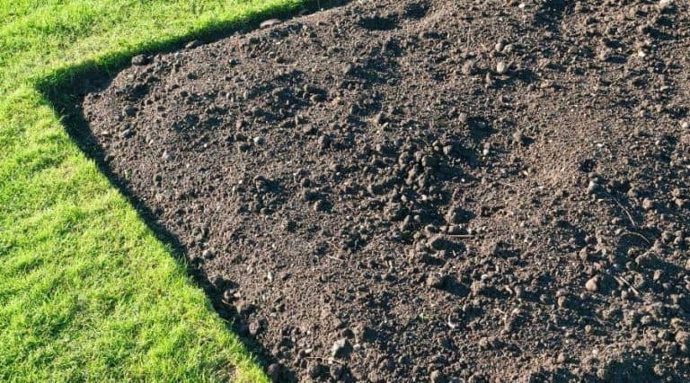 15 Ways to Revive Dead Garden Soil. (Save Money Today) - Simplify Gardening