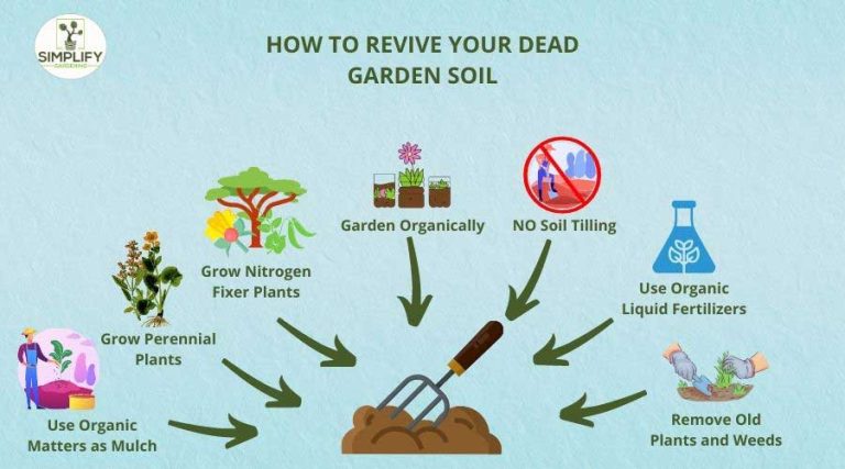 15 Ways to Revive Dead Garden Soil. (Save Money Today) - Simplify Gardening