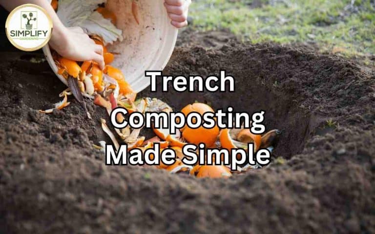 Aerobic Composting - Creating an Active Compost For Life - Simplify ...
