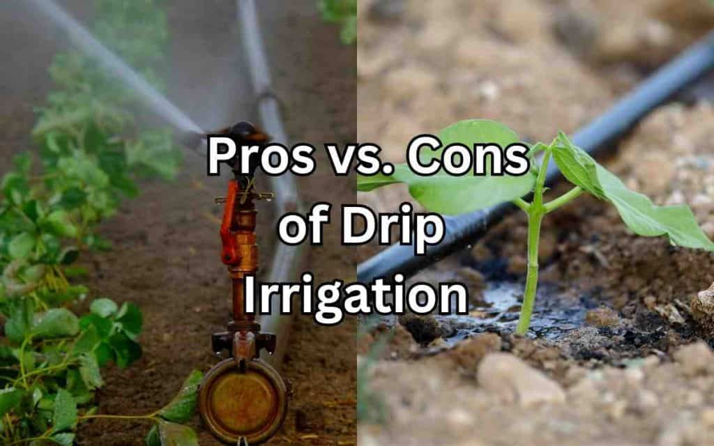 DIY Projects - Simplify Gardening