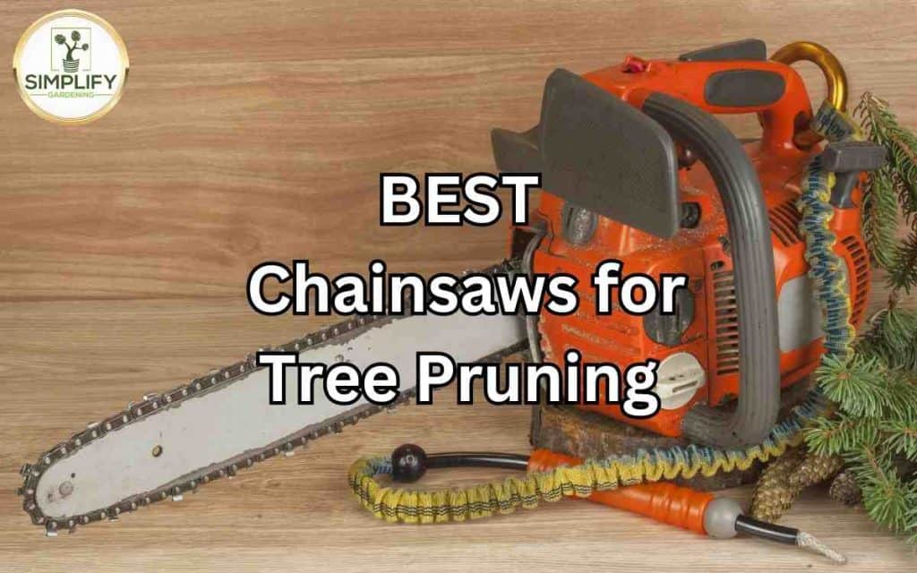 Top 9 Best Chainsaws for Tree Pruning: Ultimate Guide - Simplify Gardening