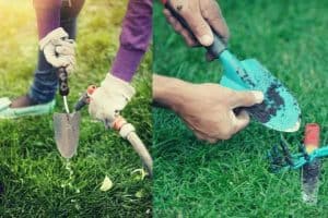 How To Take Care Of Your Garden Tools Properly - Simplify Gardening