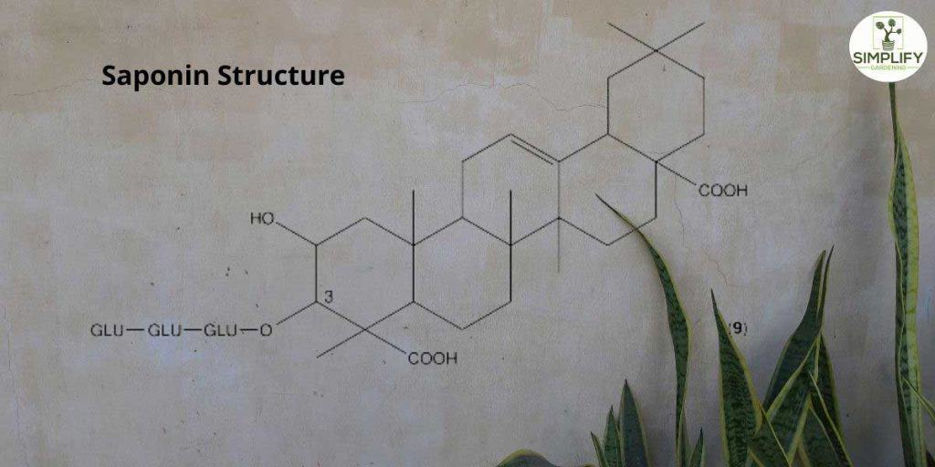 The Ultimate Guide to Snake Plants and Mosquitoes - Simplify Gardening