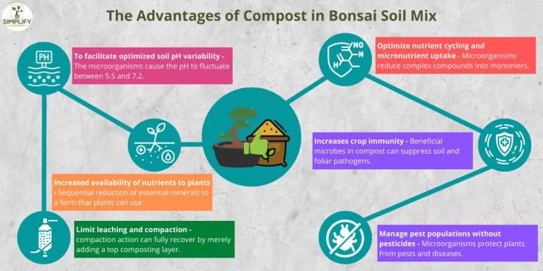 The Best Bonsai Soil Mix for Bonsai Health - Simplify Gardening