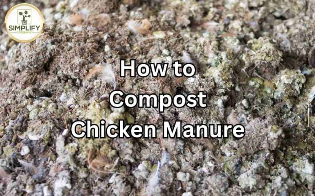 How Long Does it Take to Make Compost - Simplify Gardening