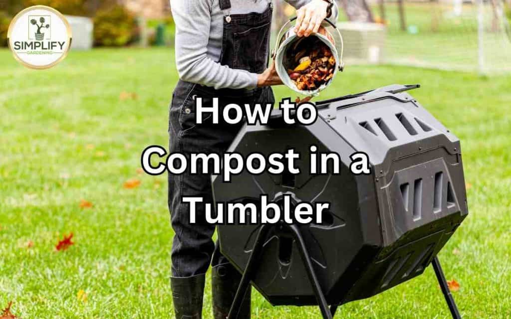 Aerobic Composting - Creating an Active Compost For Life - Simplify ...