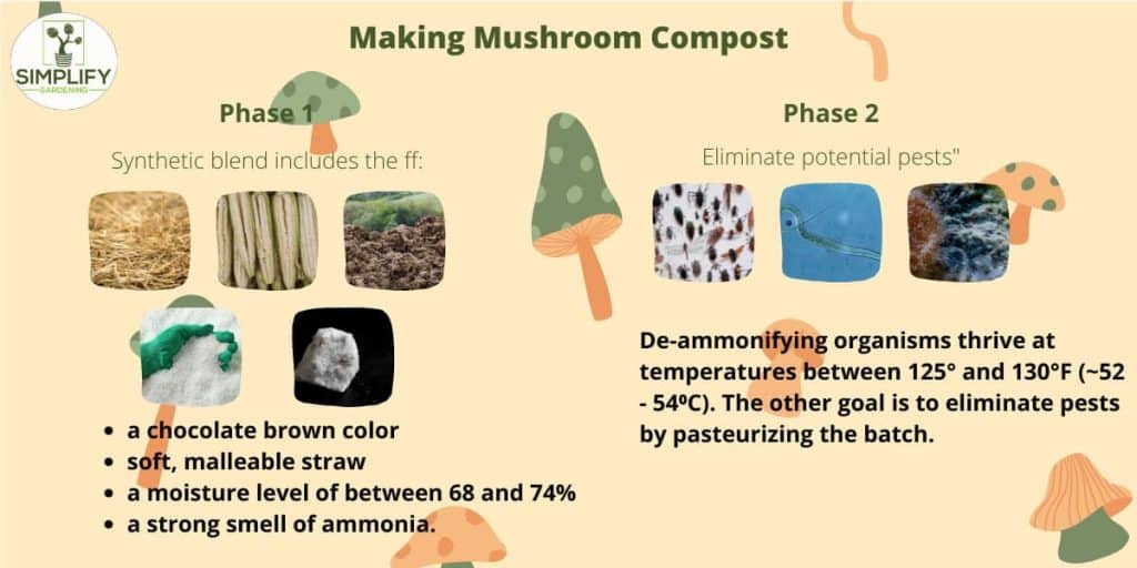 What is in Mushroom Compost? - Simplify Gardening