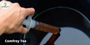 How To Make Comfrey Fertilizer (Free Plant Food) - Simplify Gardening