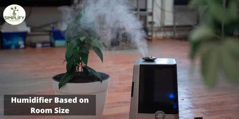 What Type of Humidifier Is Best for Plants? - Simplify Gardening