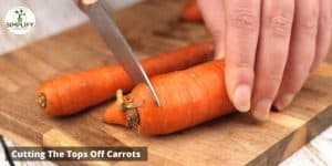 How to Grow Carrots from Carrot Tops - Simplify Gardening