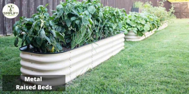 Get Creative: Unique Raised Bed Options for Your Garden - Simplify ...
