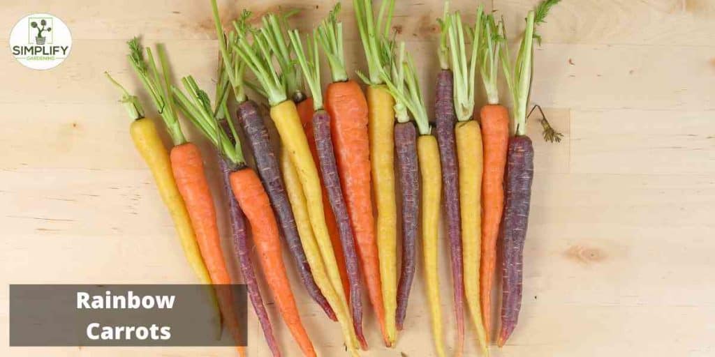 10 Surprising Tips to Make Your Carrots Grow Like Crazy! - Simplify ...
