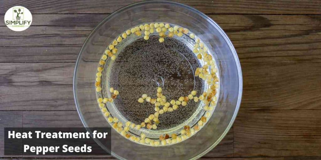 Common Pepper Diseases and How to Prevent Them - Simplify Gardening