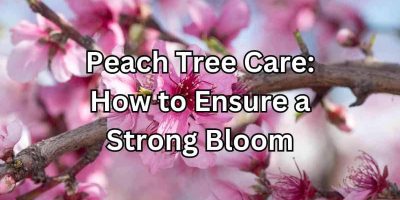 How to Grow Avocados in a Greenhouse: A Step-By-Step Guide - Simplify ...