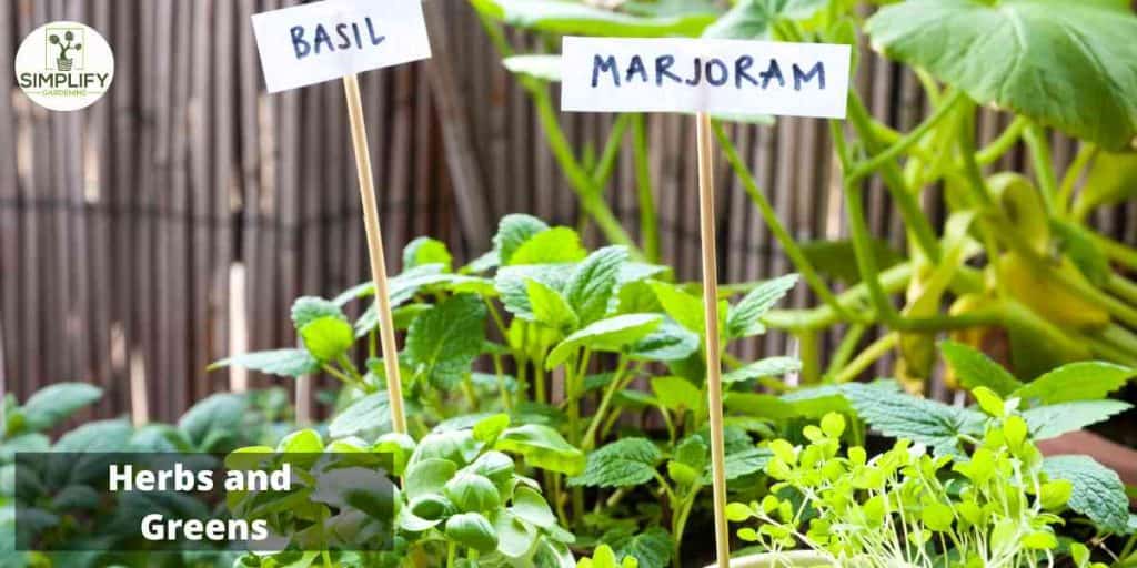 Kitchen Gardening for Beginners: Everything You Need to Know - Simplify ...