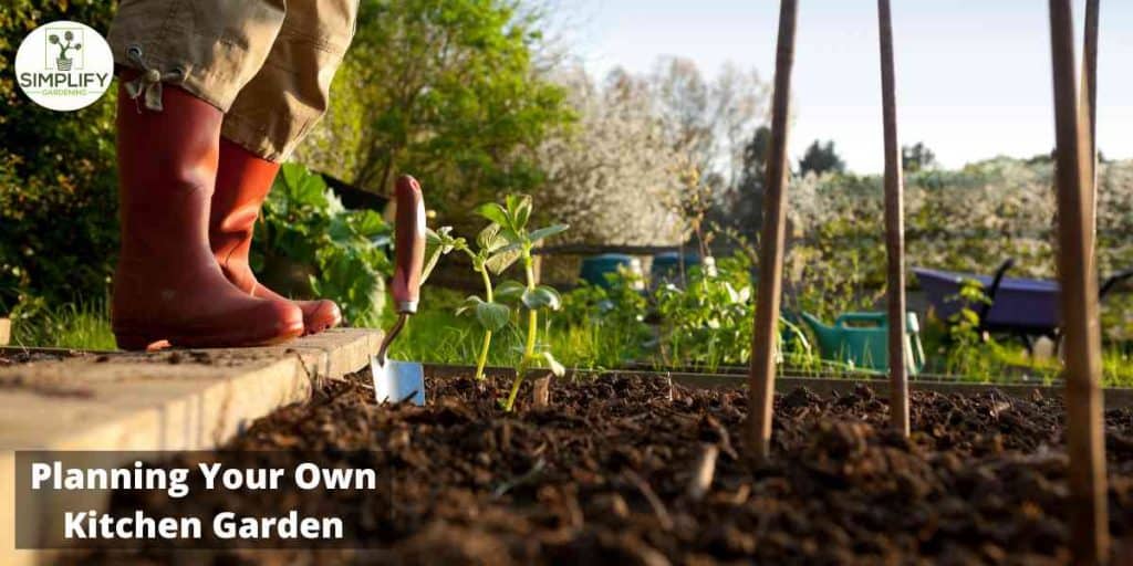 Kitchen Gardening for Beginners: Everything You Need to Know - Simplify ...