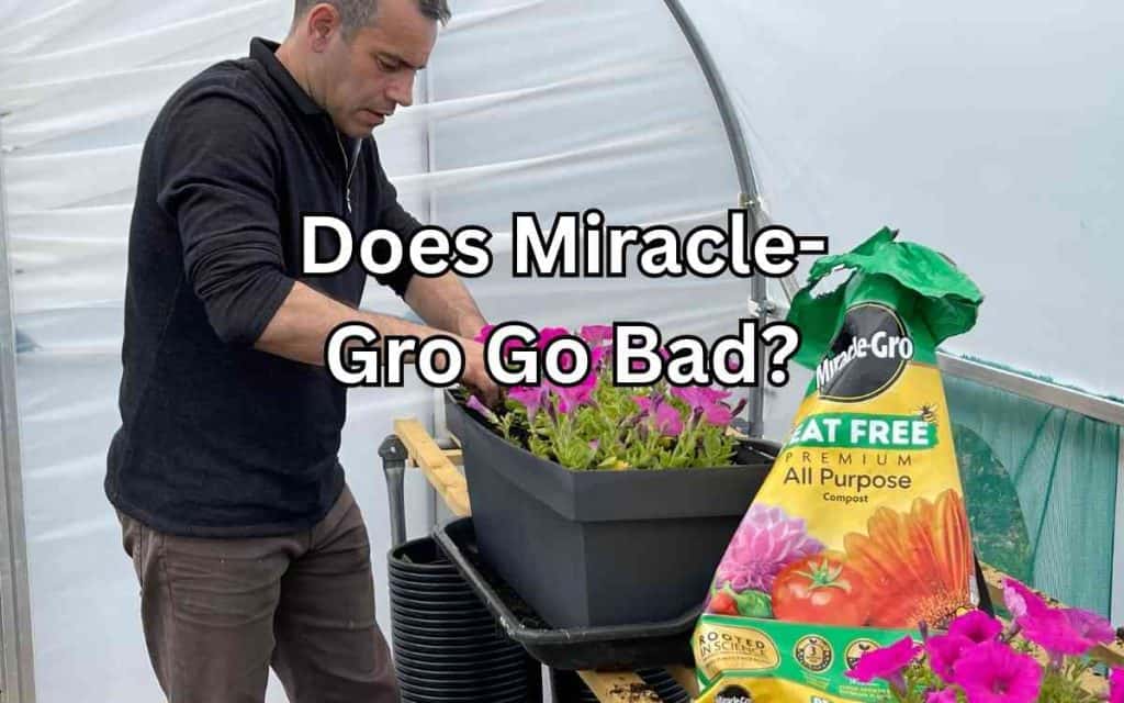 Does Miracle-Gro Go Bad? The Facts - Simplify Gardening