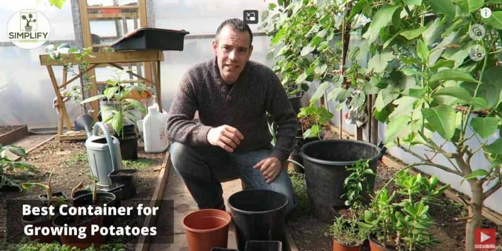 Best Containers for Growing Potatoes: Expert Recommendation - Simplify ...