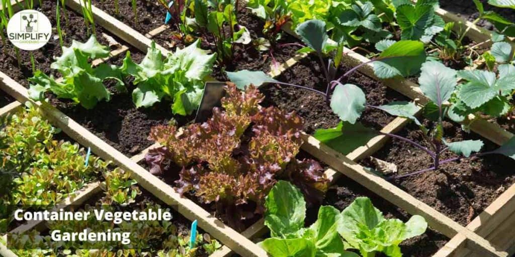 How to Grow Vegetables in Containers: A Beginner's Guide - Simplify ...