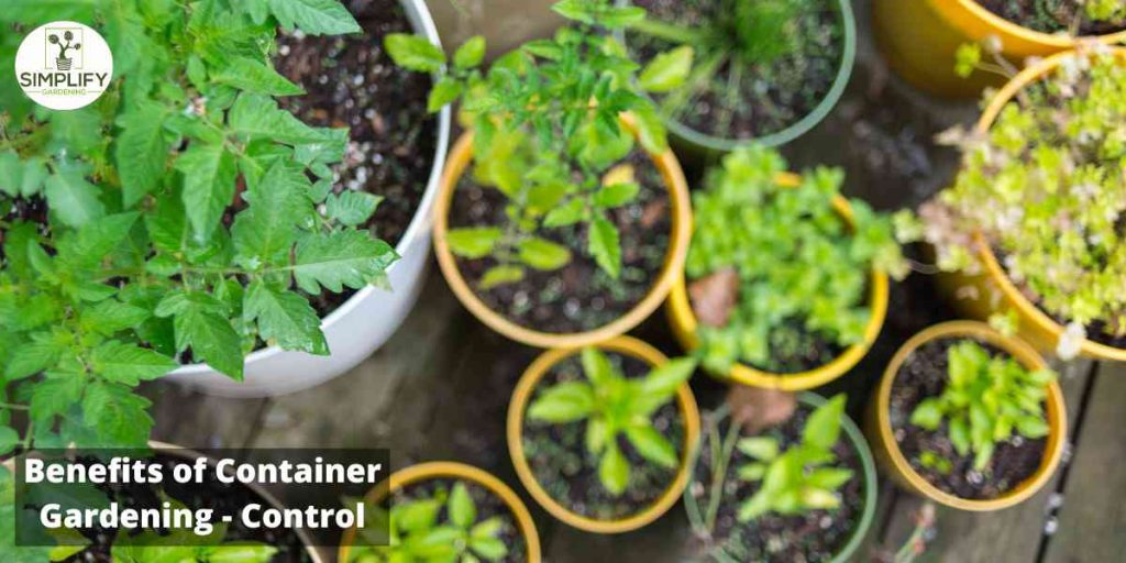 Planting Made Easy: Container Gardening Tips for Beginners - Simplify ...