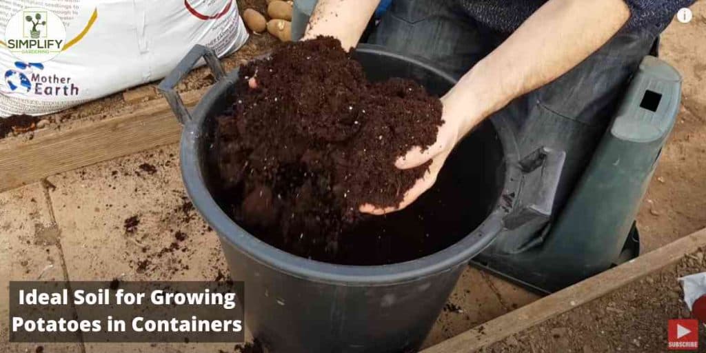 Mastering Container Gardening: Growing Potatoes Made Easy - Simplify ...