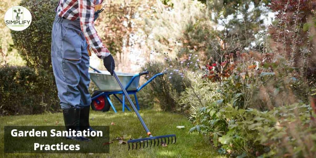 Common Soil Mite Species and How to Manage Them - Simplify Gardening
