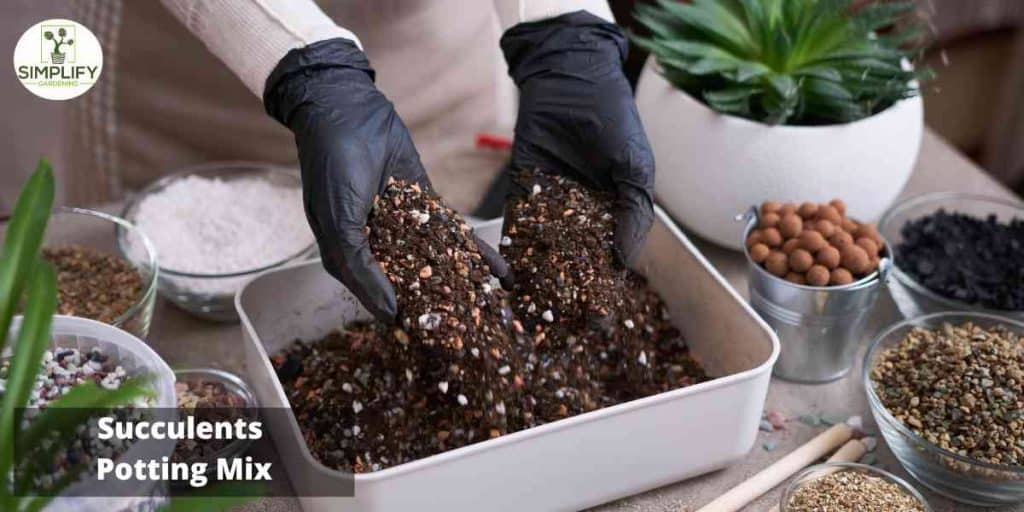 Expert Tips for Making the Best Soil for Containers - Simplify Gardening