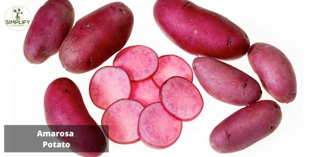 Discover the Best Small Potato Varieties for Container Planting ...