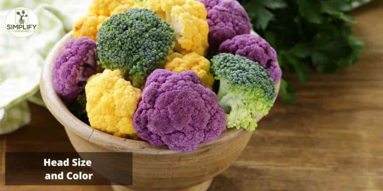 The Ultimate Guide to Growing Cauliflower: An In-Depth Look - Simplify Gardening
