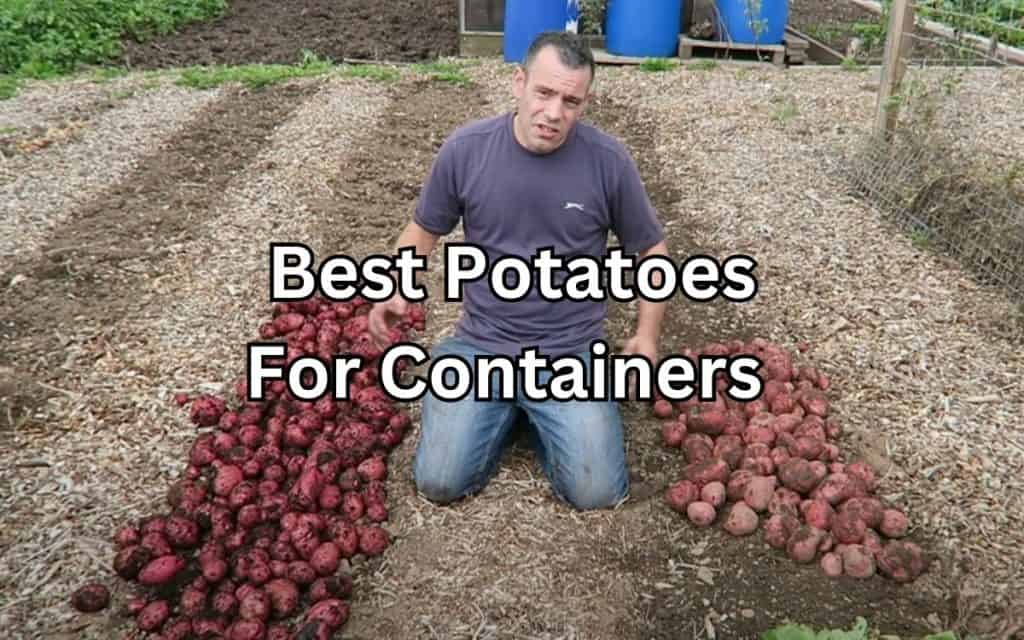 Bokashi Composting Made Easy: A Step-by-Step Guide - Simplify Gardening