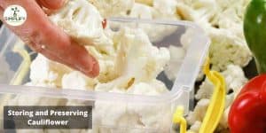 The Ultimate Guide to Storing Cauliflower Top Storage Hacks - Simplify ...