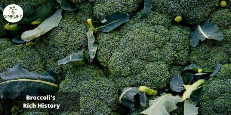The Ultimate Guide to Growing Broccoli: Tips, Tricks, and Varieties ...