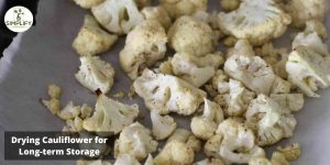 The Ultimate Guide to Storing Cauliflower Top Storage Hacks - Simplify ...