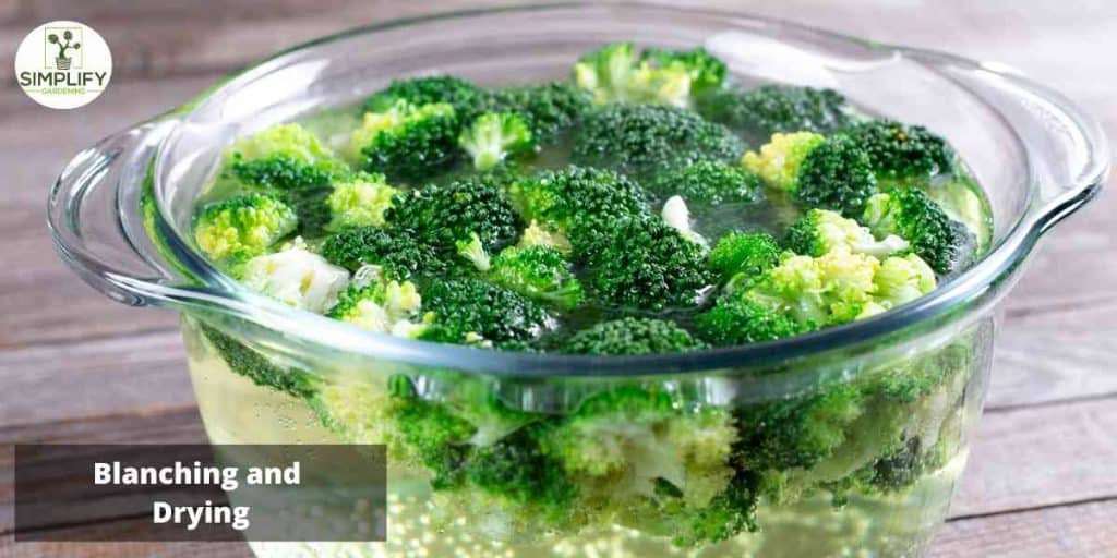The Ultimate Guide to Growing Broccoli: Tips, Tricks, and Varieties ...