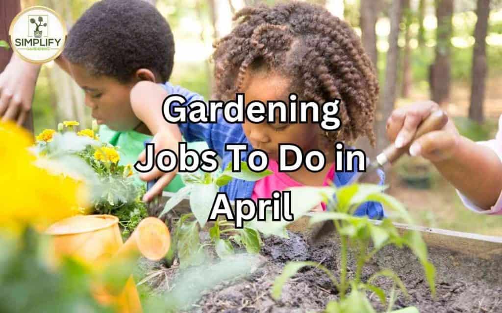 Gardening Jobs to Do in April - Simplify Gardening