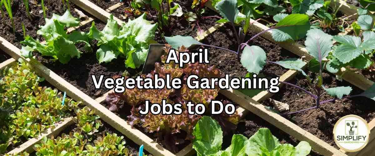 Gardening Jobs to Do in April - Simplify Gardening