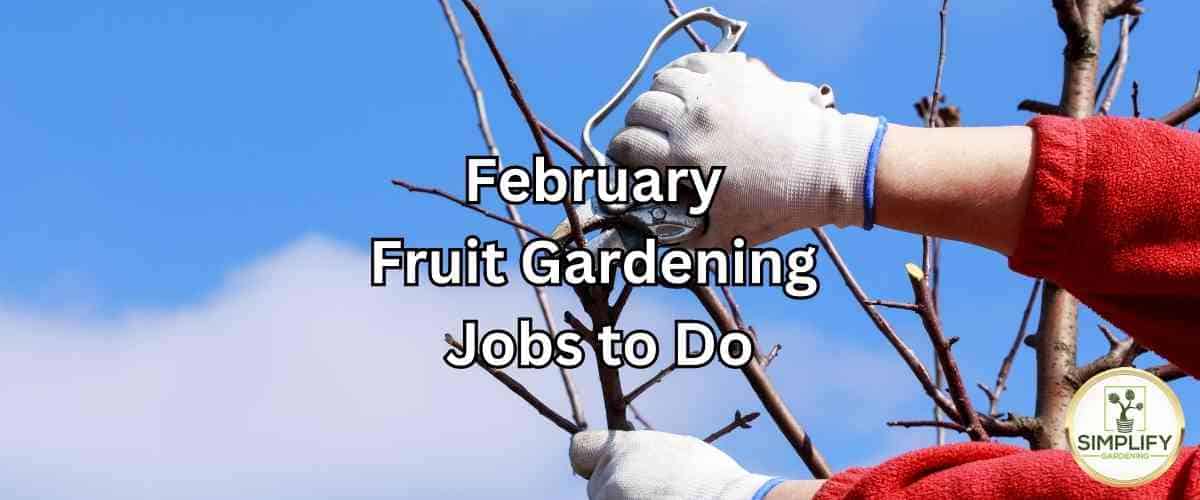 Gardening Jobs to Do in February - Simplify Gardening