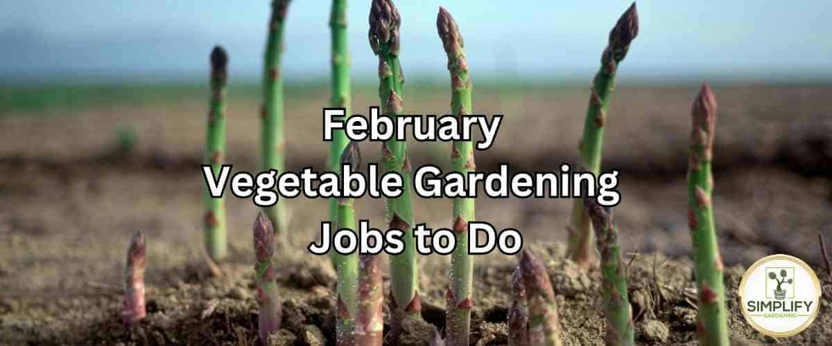 Gardening Jobs to Do in February - Simplify Gardening