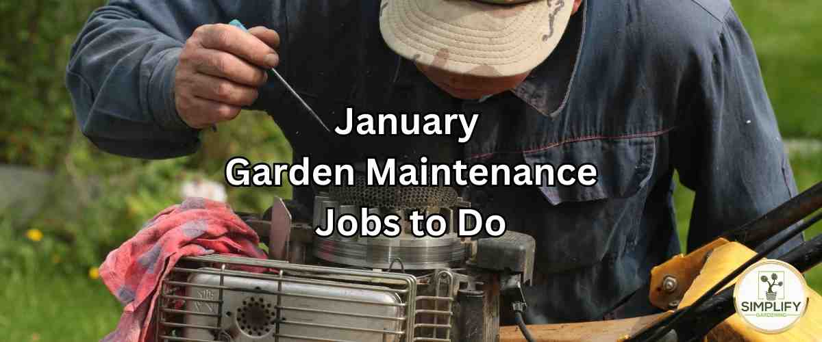 Gardening Jobs To Do in January - Simplify Gardening