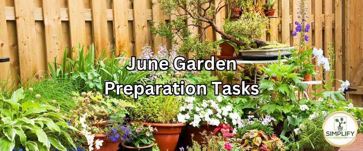 Gardening Jobs to Do in June - Simplify Gardening