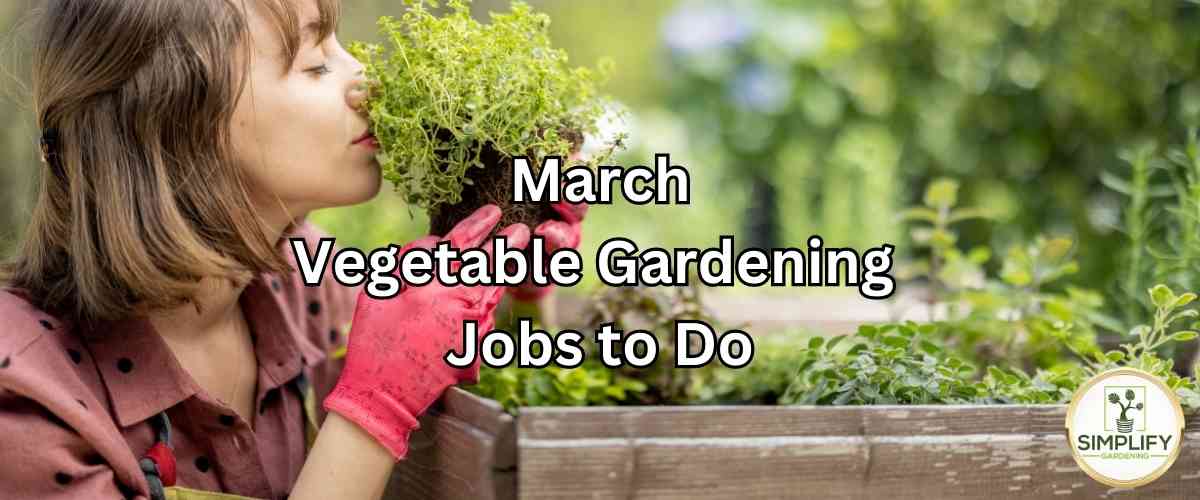 Gardening Jobs to Do in March - Simplify Gardening