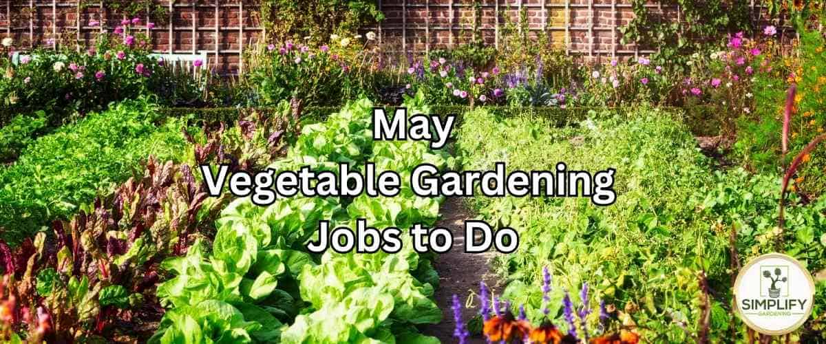 Gardening Jobs to Do in May - Simplify Gardening