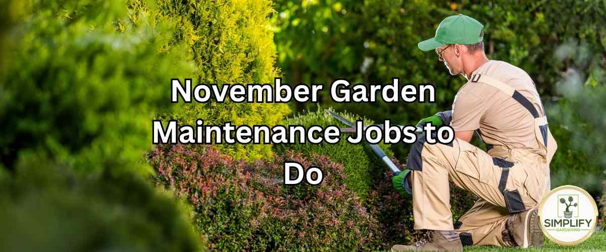 Gardening Jobs to Do in November - Simplify Gardening