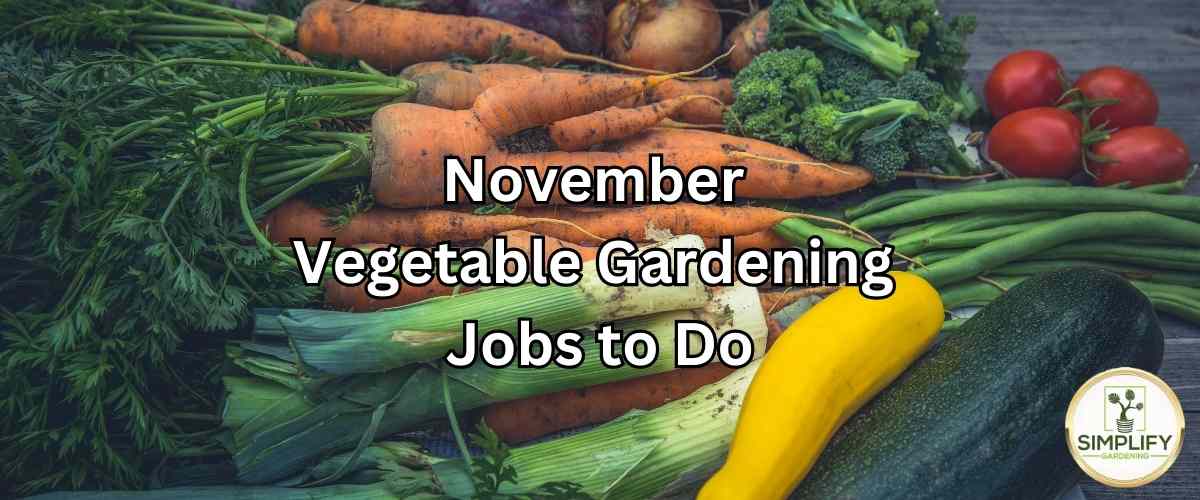 Gardening Jobs to Do in November - Simplify Gardening
