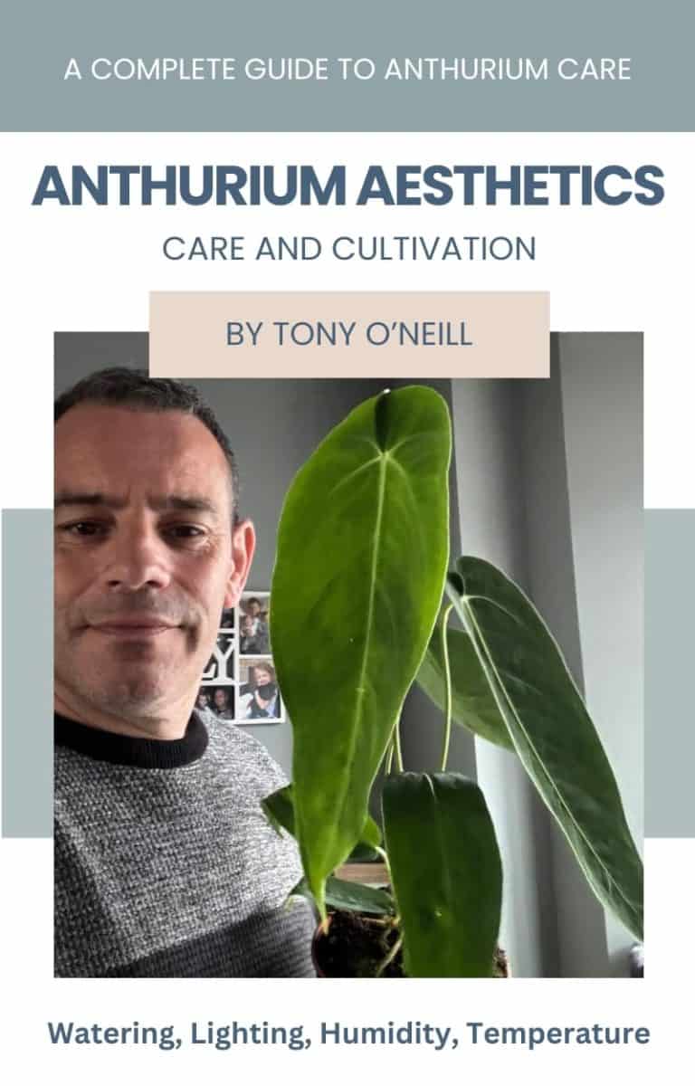 Anthurium Aesthetics: The Complete Guide to Growing and Caring for Your Anthurium Plants (eBook)