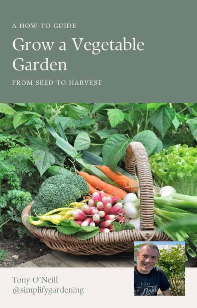 How To Grow a Vegetable Garden: From Seed To Harvest (eBook)